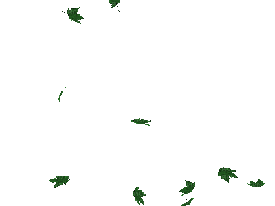 Green Leaves Falling Gif